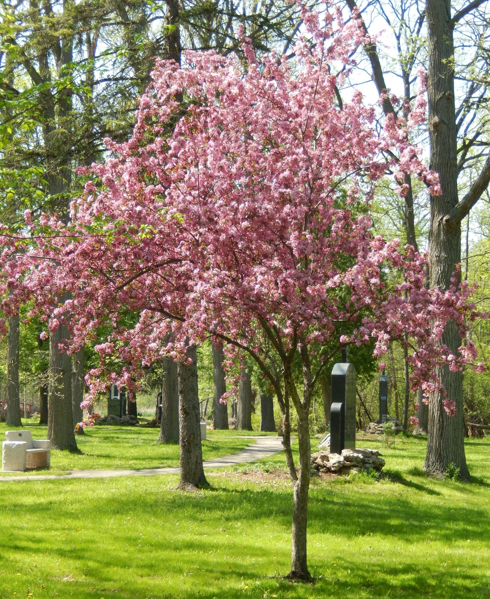 Saturday: A Day for You - Manresa Jesuit Retreat House